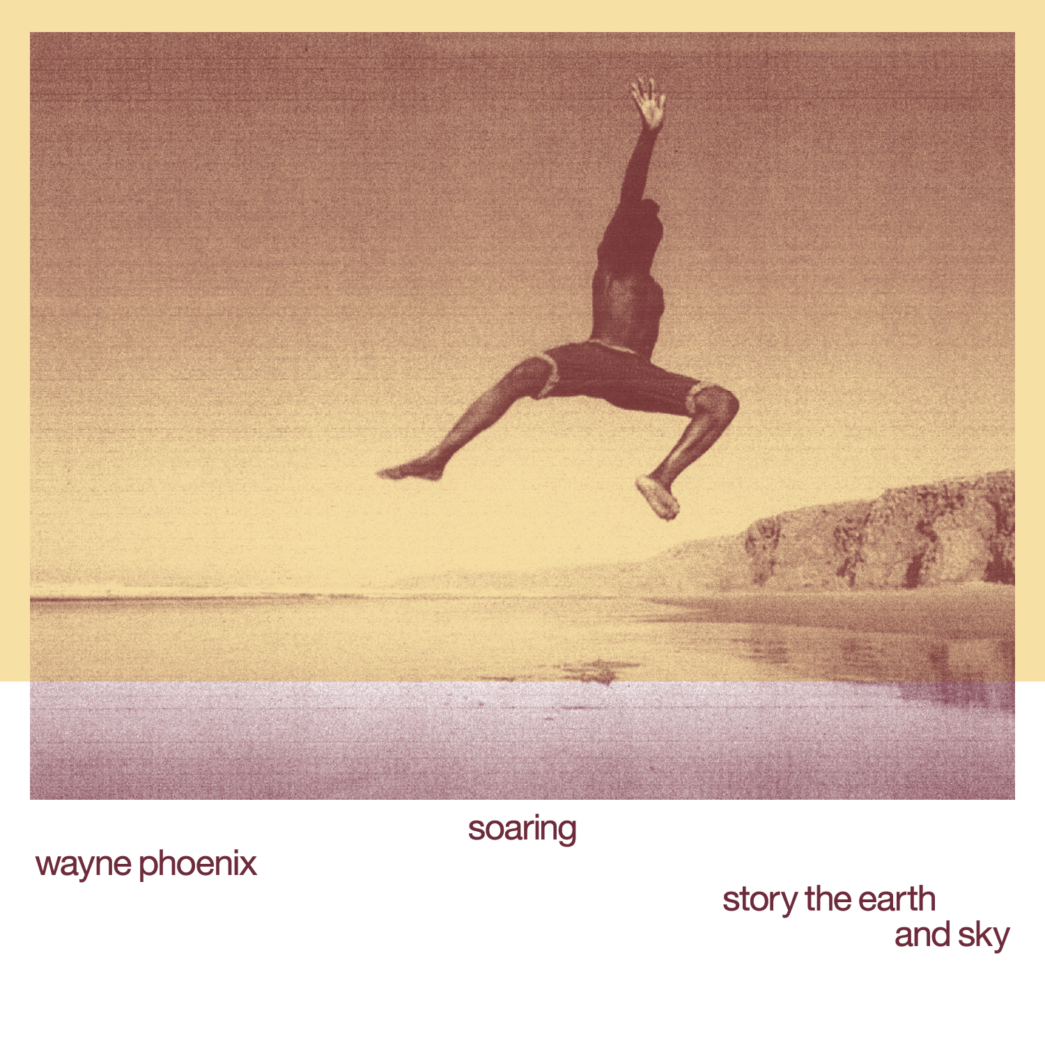 Wayne Phoenix - soaring wayne phoenix story the earth and sky (RVNG Intl.)