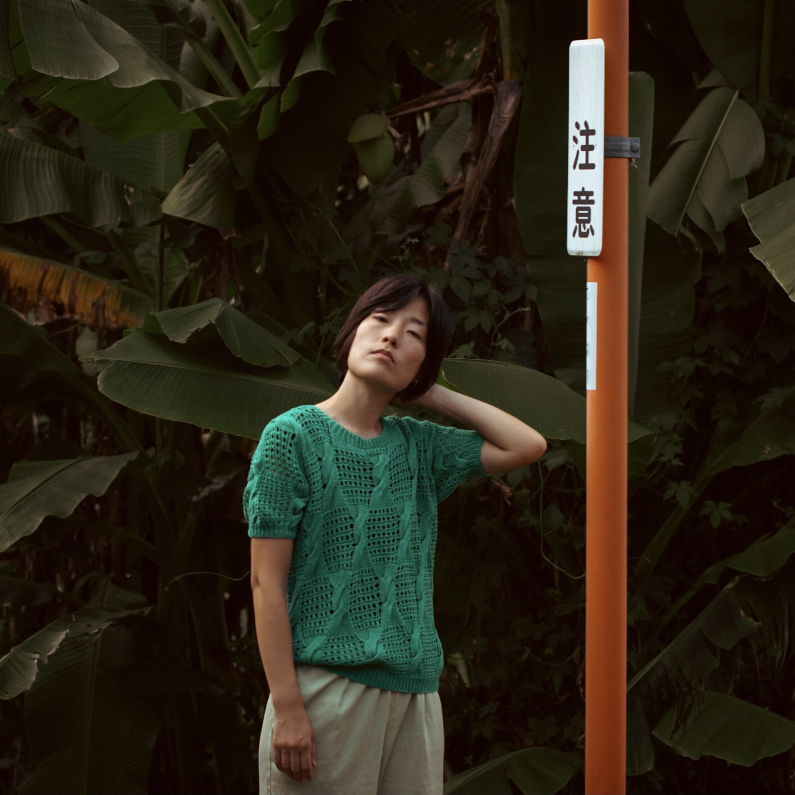 Satomimagae - RVNG Intl.